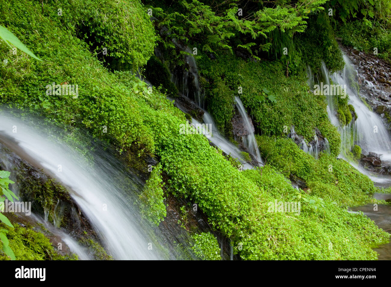 Beautiful View Of Waterfall Stock Photo - Alamy