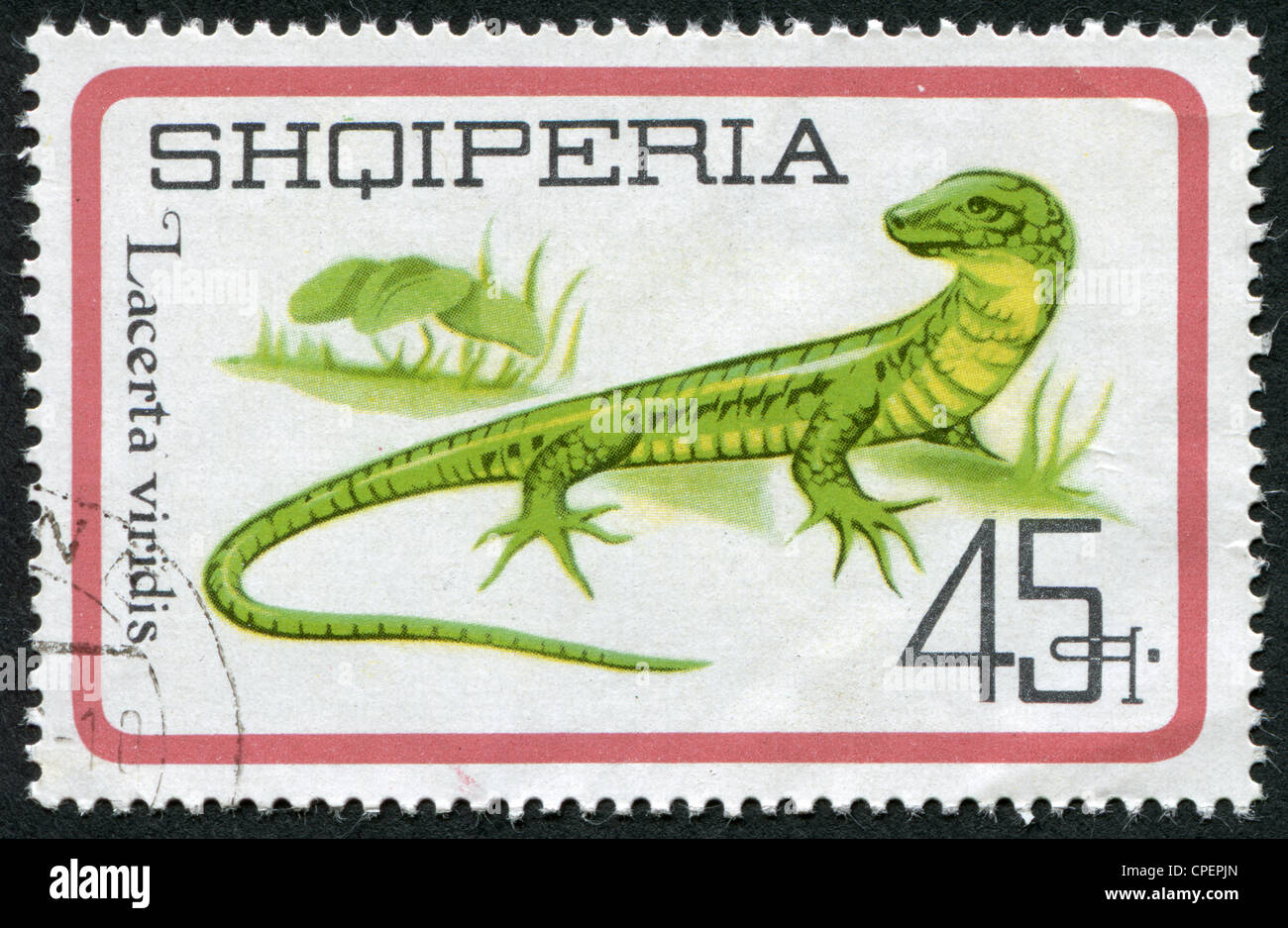 ALBANIA - CIRCA 1966: A stamp printed in the Albania (Shqiperia), shows ...