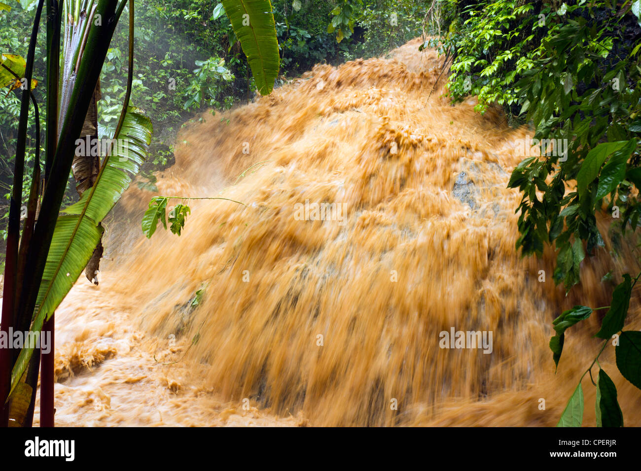 Mud and water pouring down a jungle watercourse after very heavy rain ...