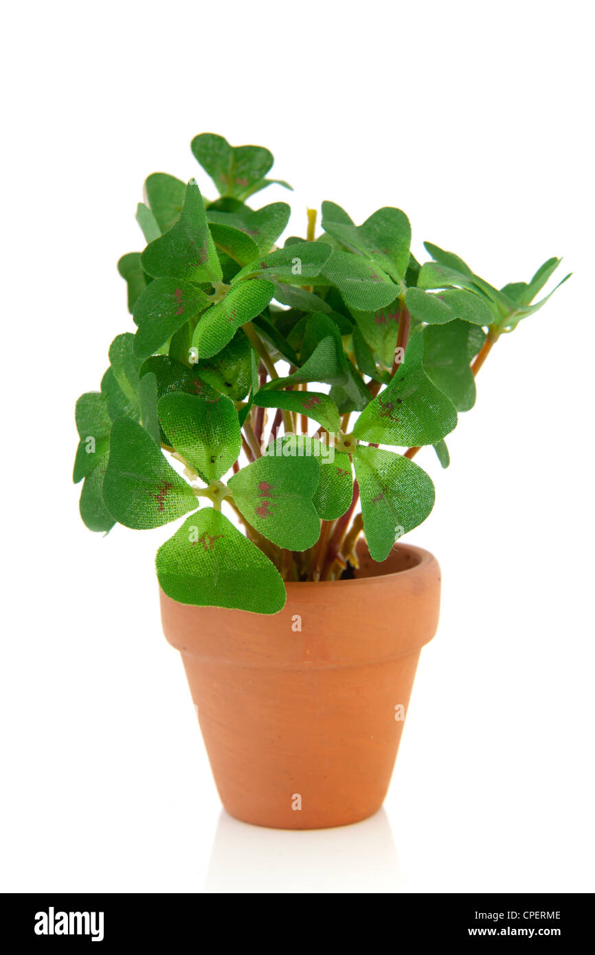 Clover four plant from textile isolated over white background Stock ...