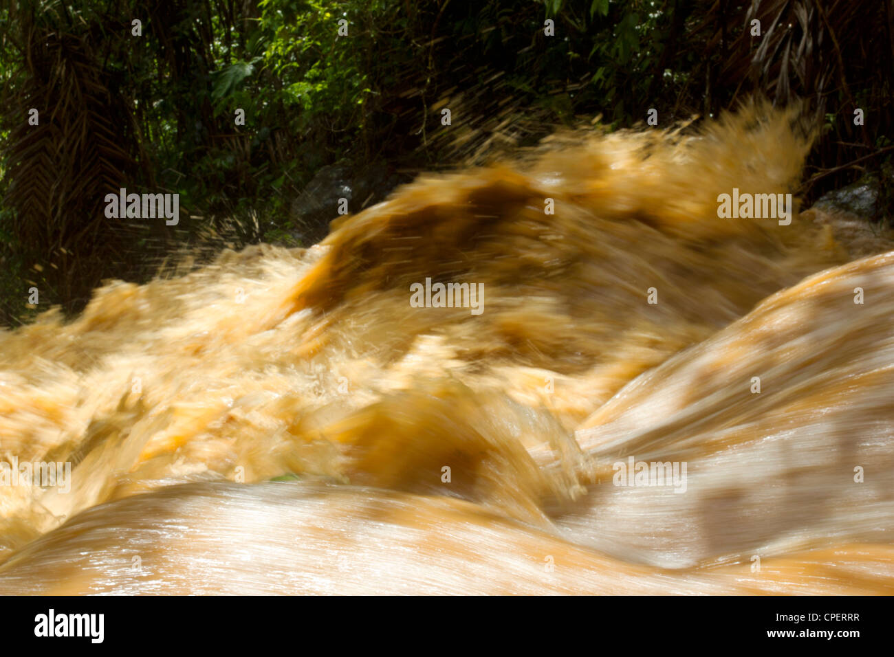 Mud and water pouring down a jungle watercourse after very heavy rain ...