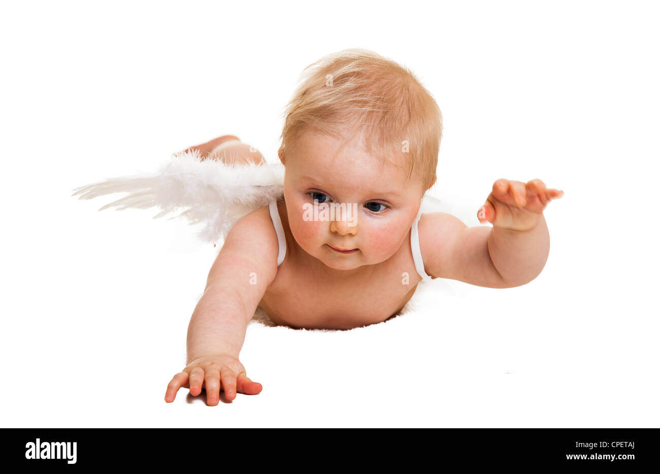 Cute infant angel with wings isolated on white Stock Photo - Alamy