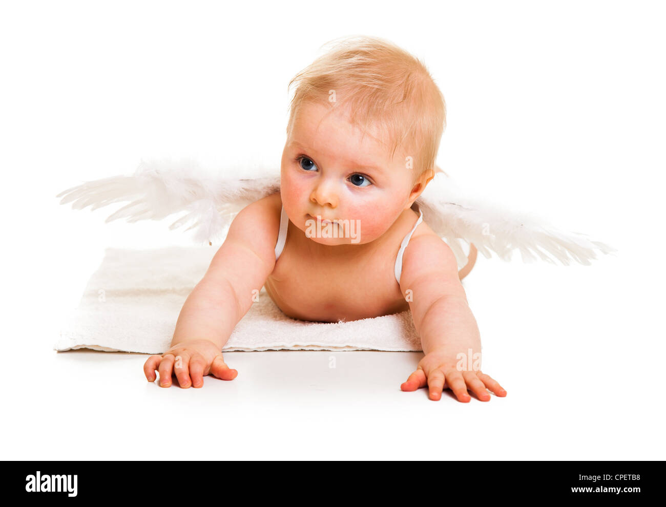 Cute infant angel with wings isolated on white Stock Photo - Alamy