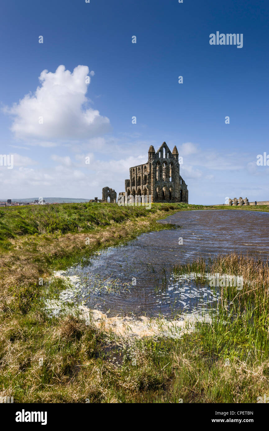 Whitby abbey pond hi-res stock photography and images - Alamy