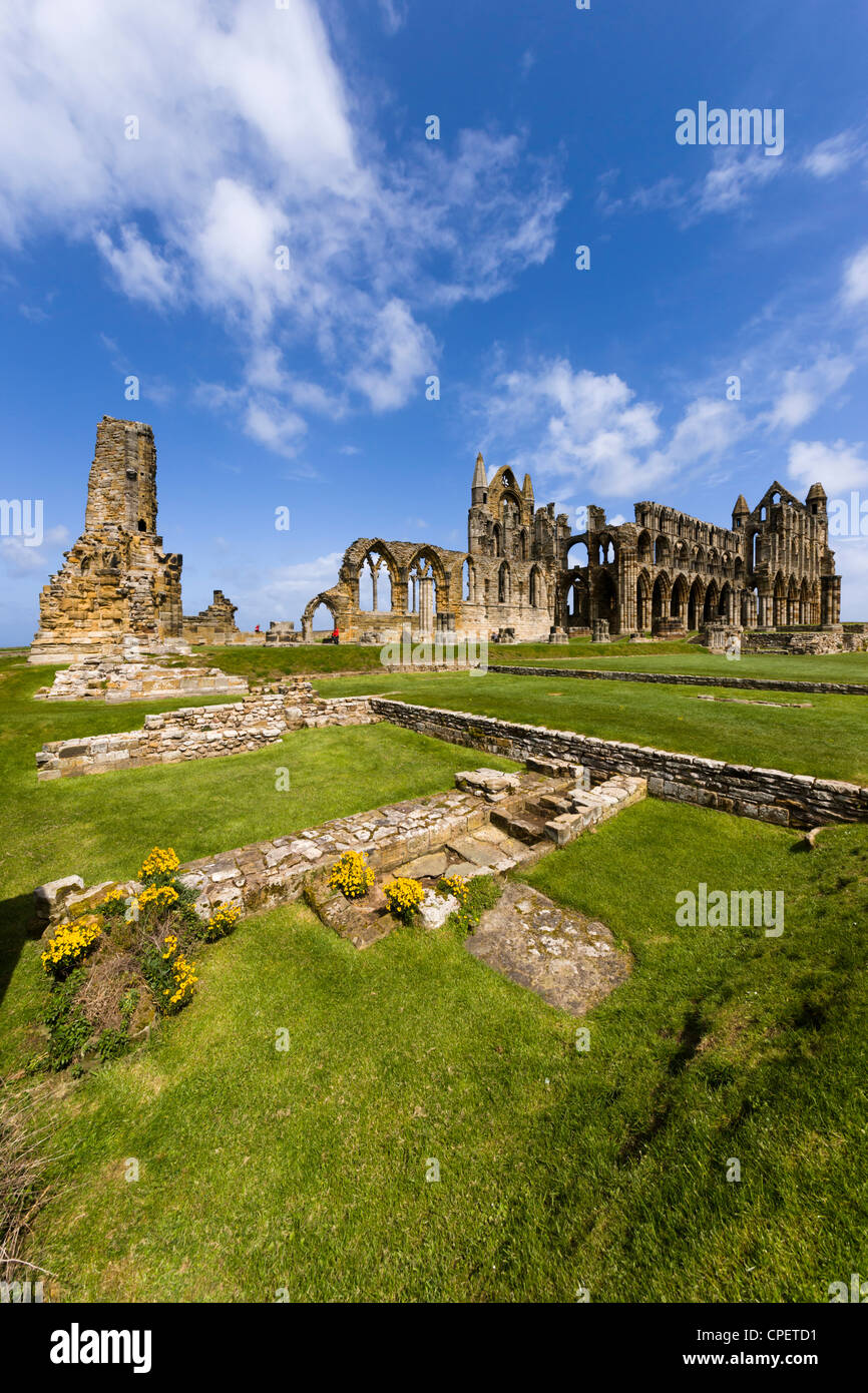 Whitby Abbey, Yorkshire - general view Stock Photo - Alamy