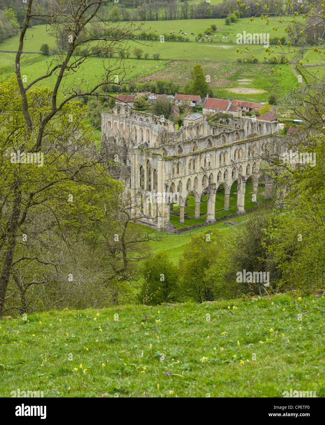 Reivaulx abbey hi-res stock photography and images - Alamy