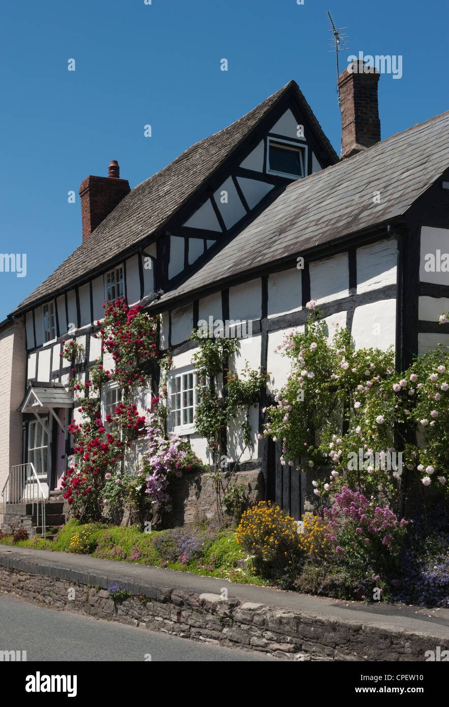 Cottages at Pembridge Stock Photo - Alamy