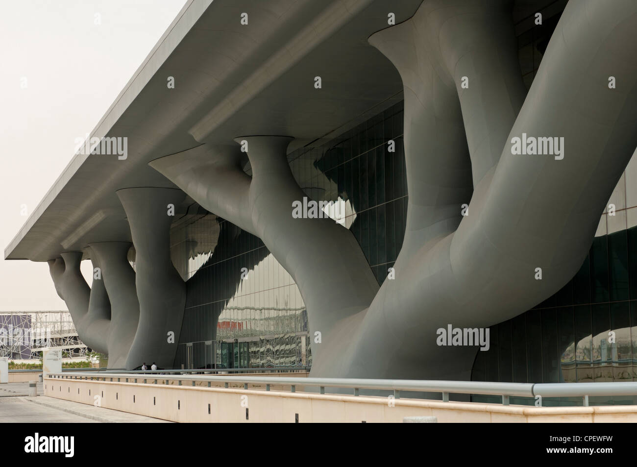 Sidra tree hi-res stock photography and images - Alamy