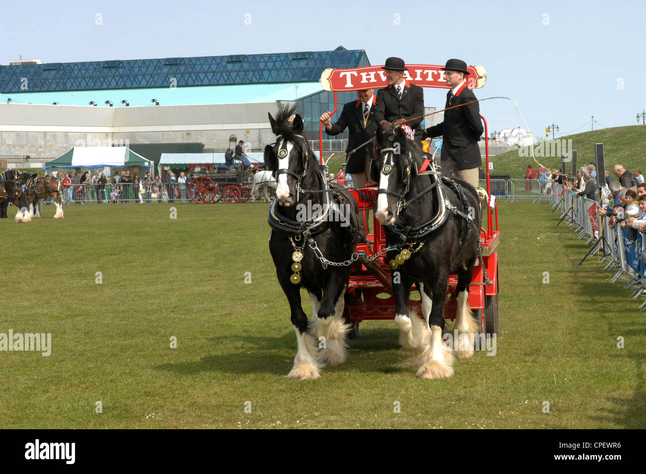 Harness horse parade uk hi-res stock photography and images - Alamy