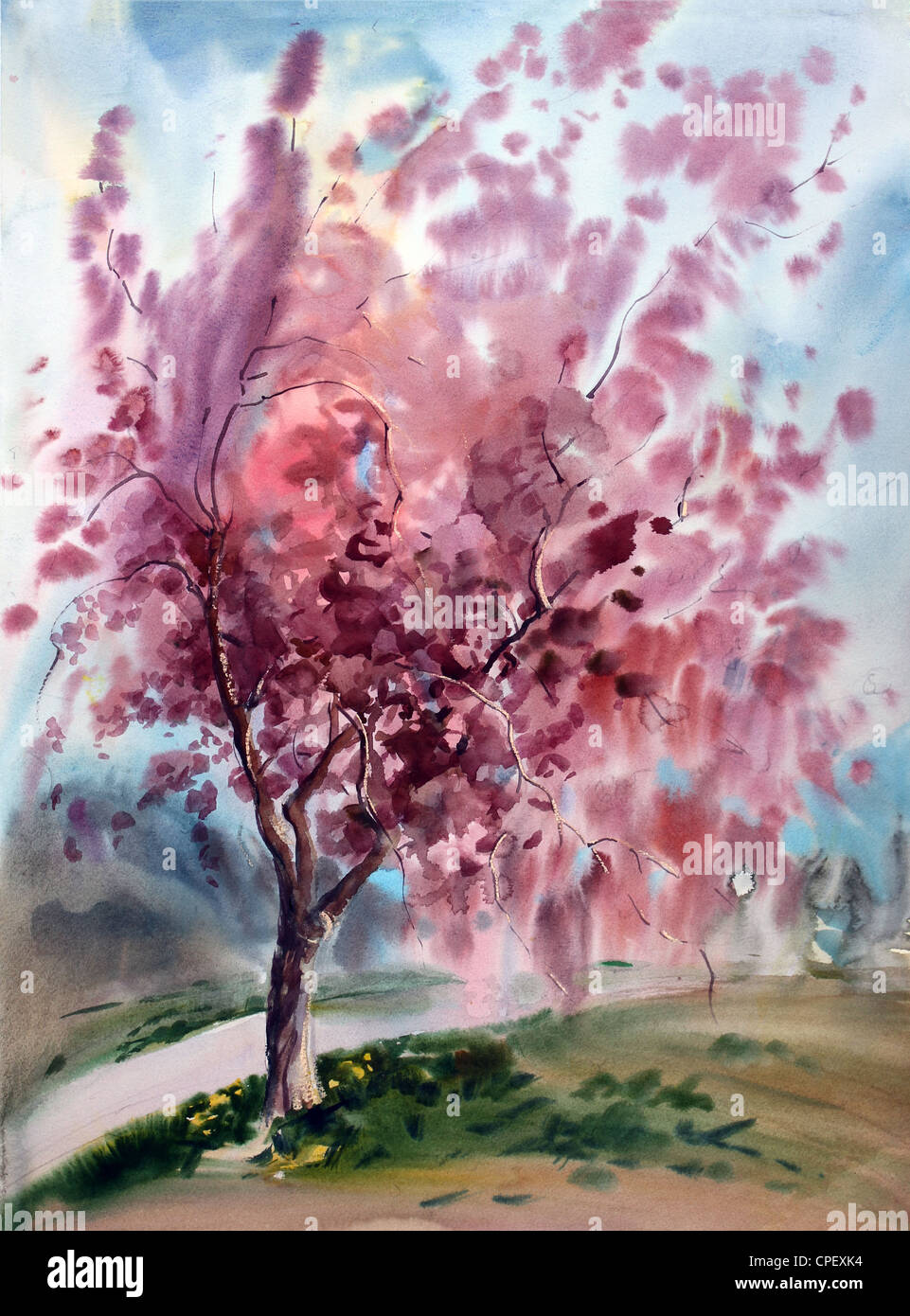 Watercolor painting landscape with blooming spring tree with flowers ...