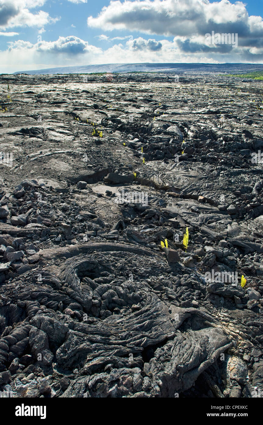 Barren island volcano hi-res stock photography and images - Alamy