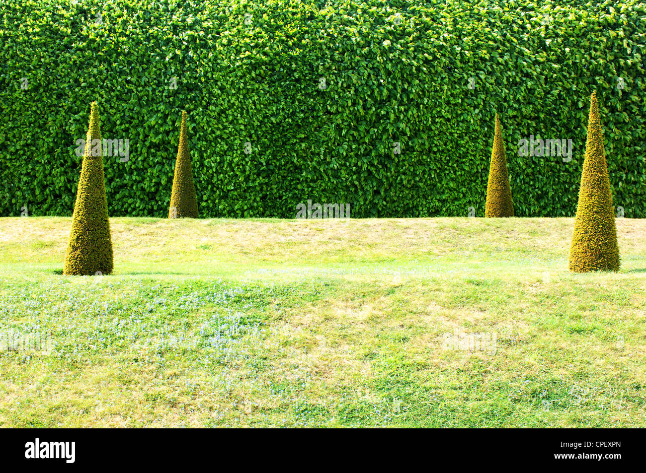 Cone shaped bushes hi-res stock photography and images - Alamy