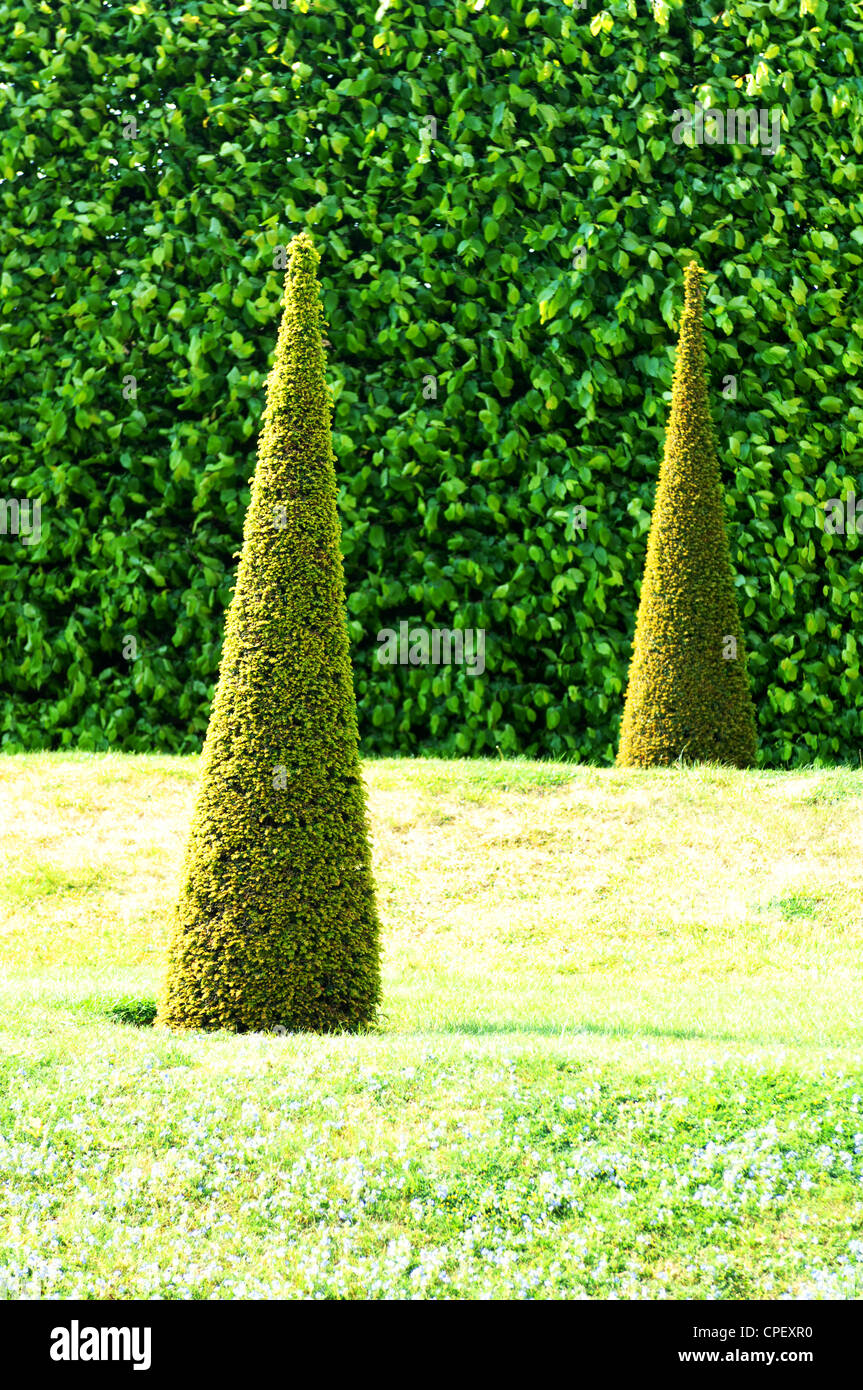 Triangle shape hedge hi-res stock photography and images - Alamy