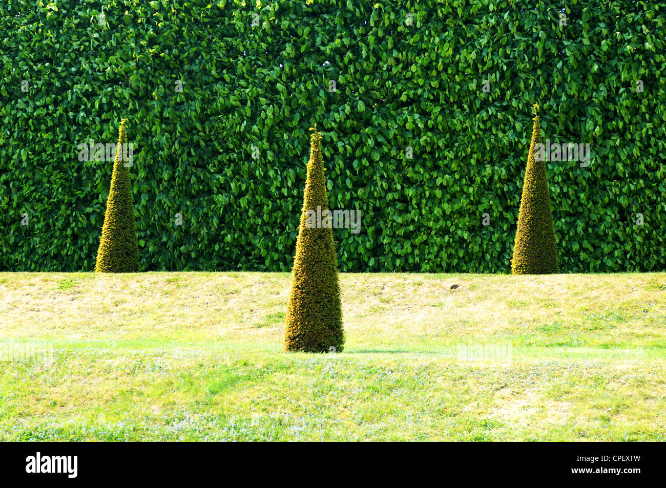 Triangle Shape Hedge High Resolution Stock Photography and Images - Alamy