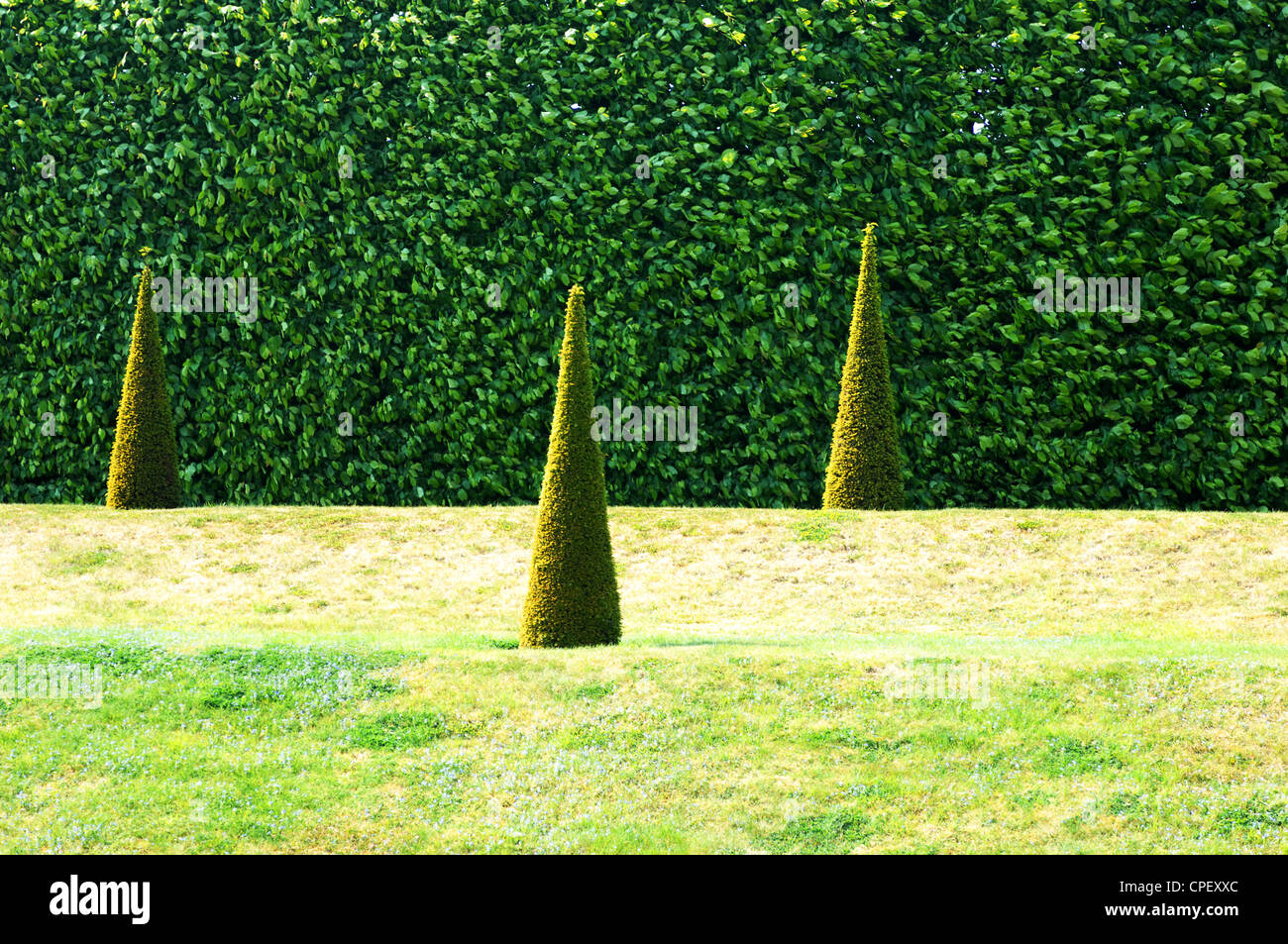 Triangle shape hedge hi-res stock photography and images - Alamy