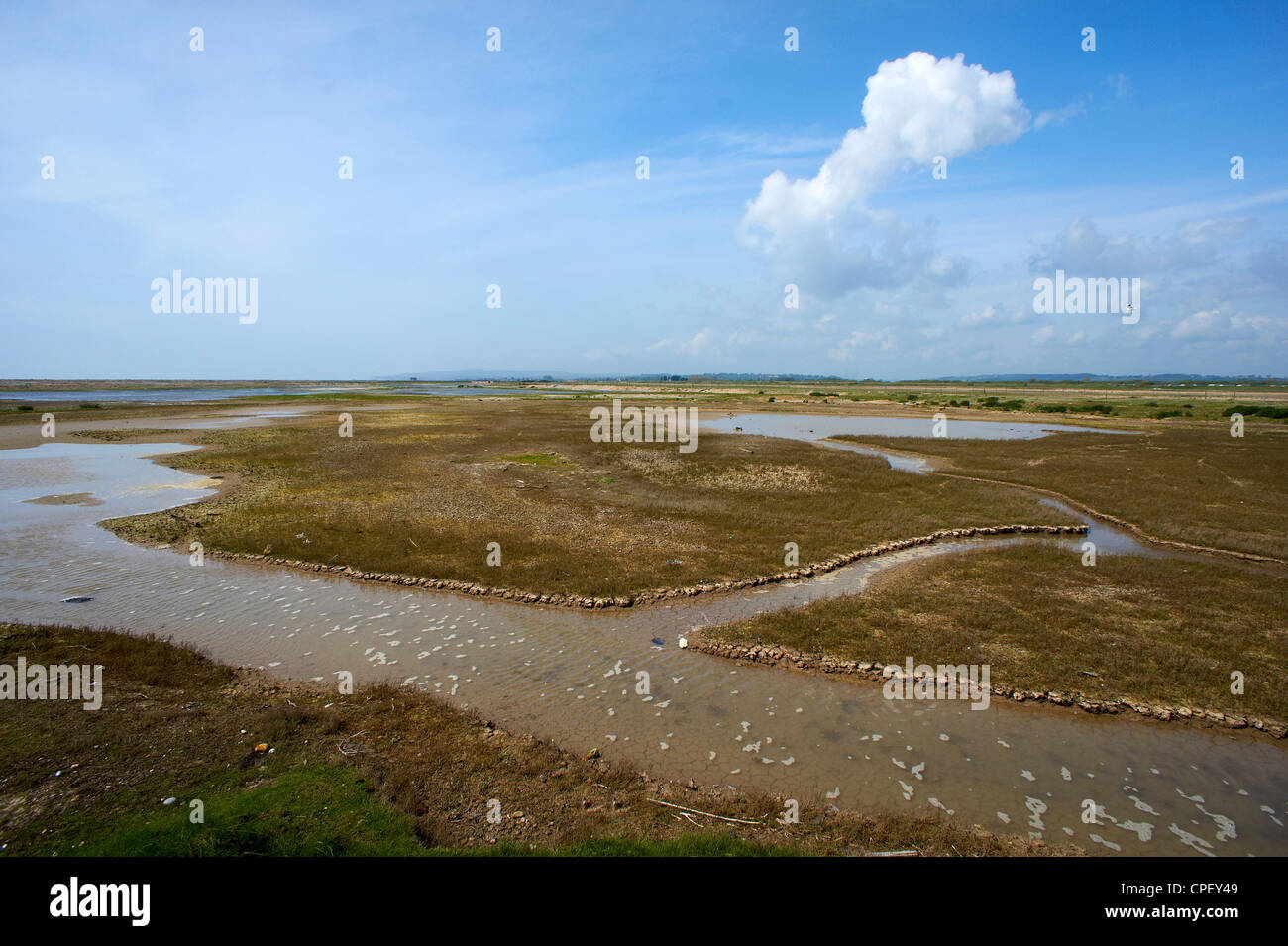 Rye Harbour Nature Reserve Stock Photo - Alamy
