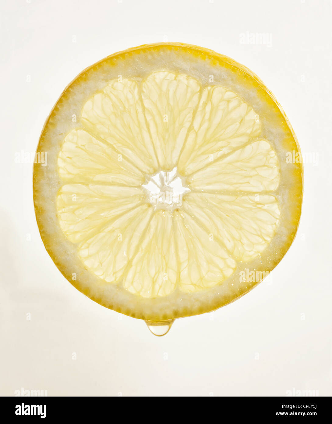 Thin slice of lemon with water droplet isolated on white background ...