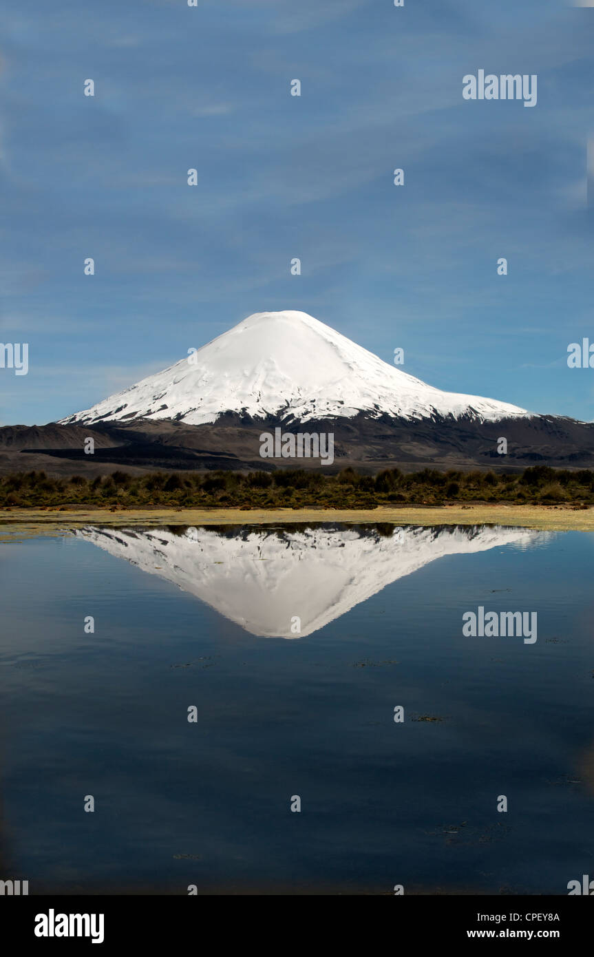 Lago Chungara with snow capped Volcan Parincota Northern Chile Stock ...