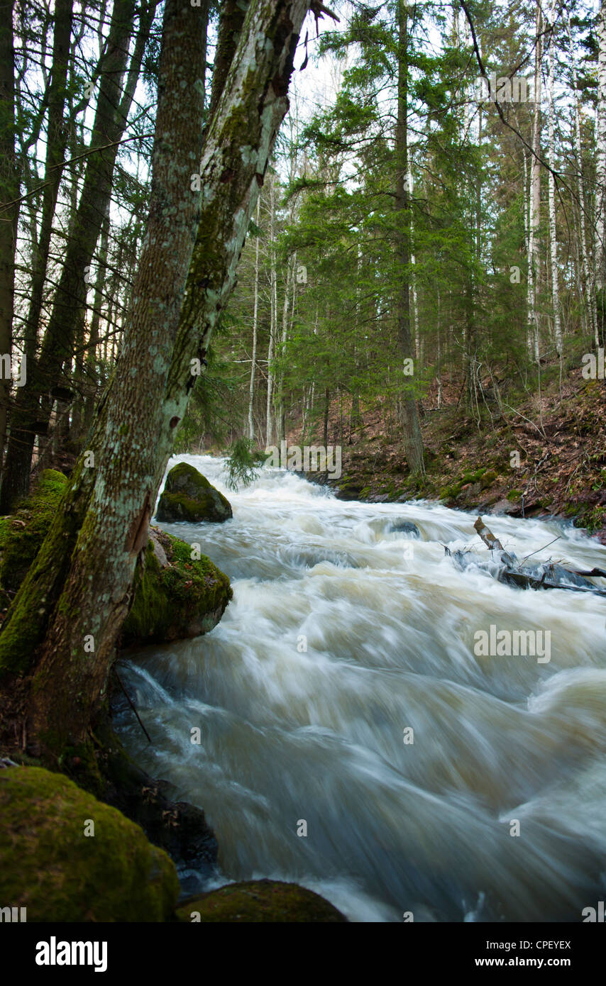 Forest river finland hi-res stock photography and images - Alamy