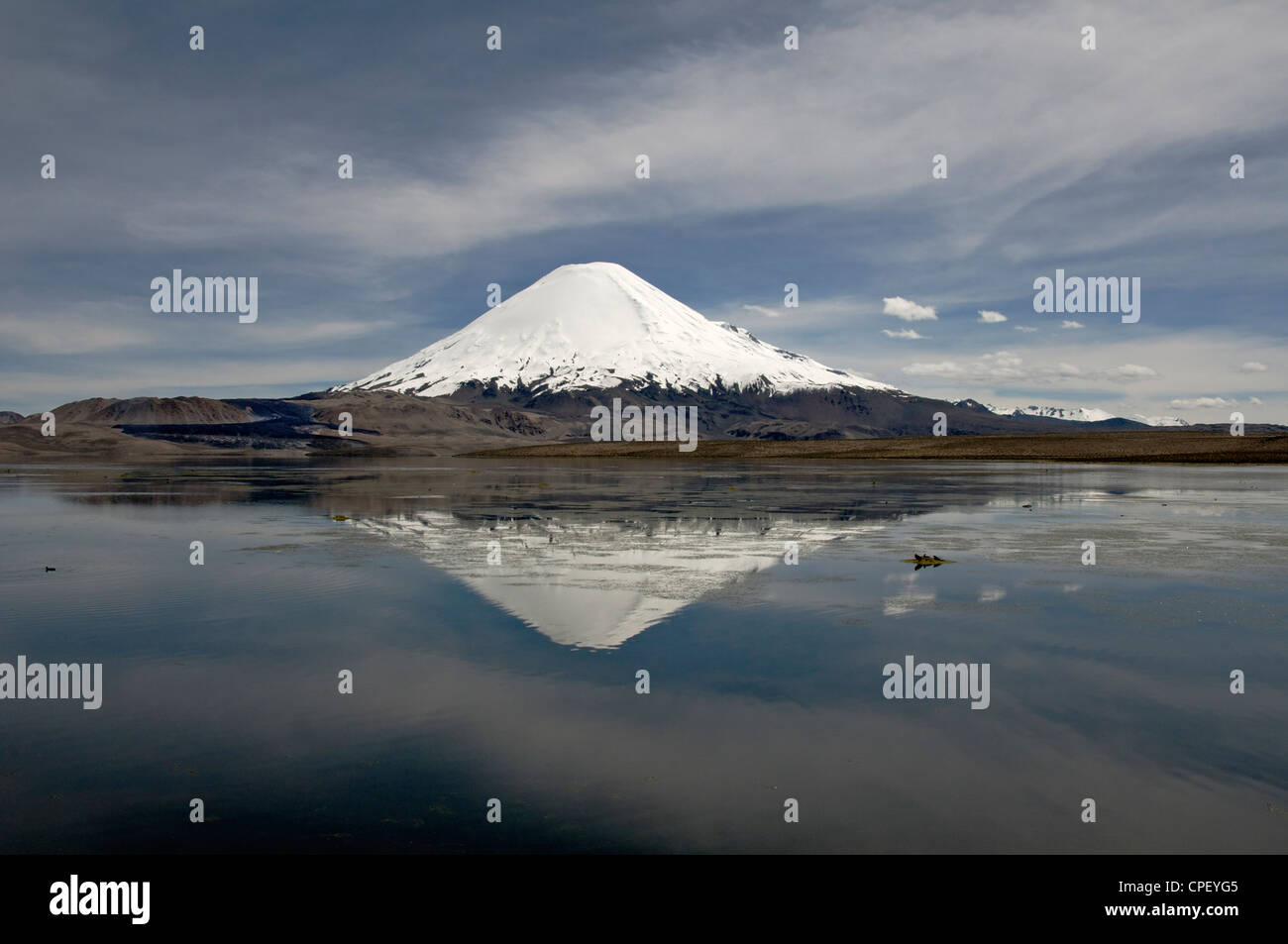 Lago Chungara with snow capped Volcan Parincota Northern Chile Stock ...