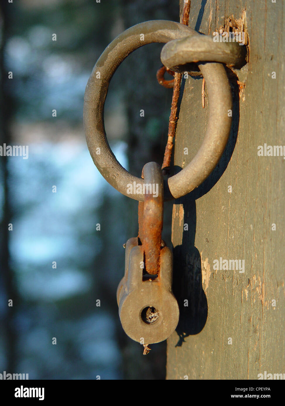 Locker, aged, rusty, wood Stock Photo - Alamy
