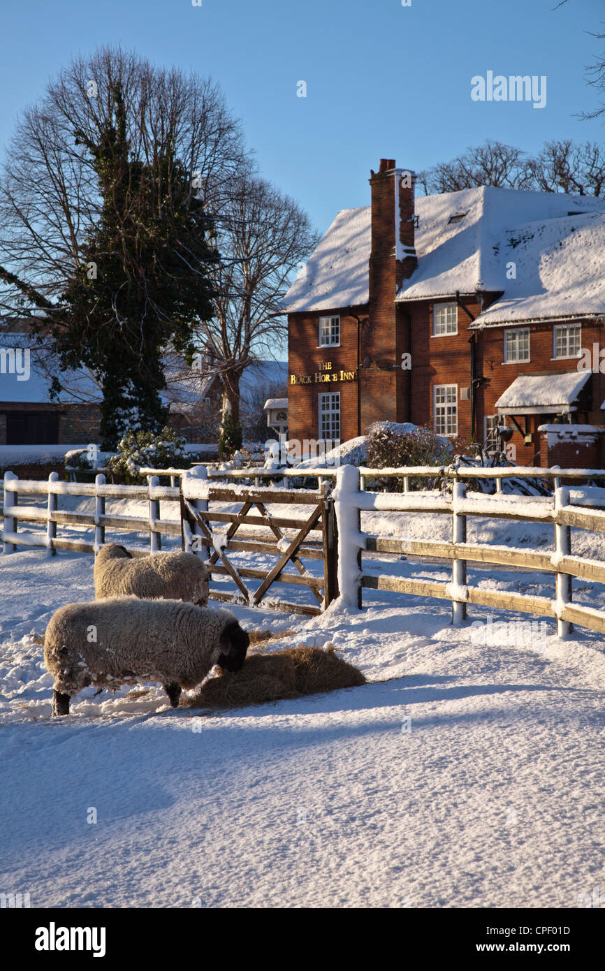 The Black Horse pub, Castle Rising, King's Lynn, Norfolk, UK on clear ...