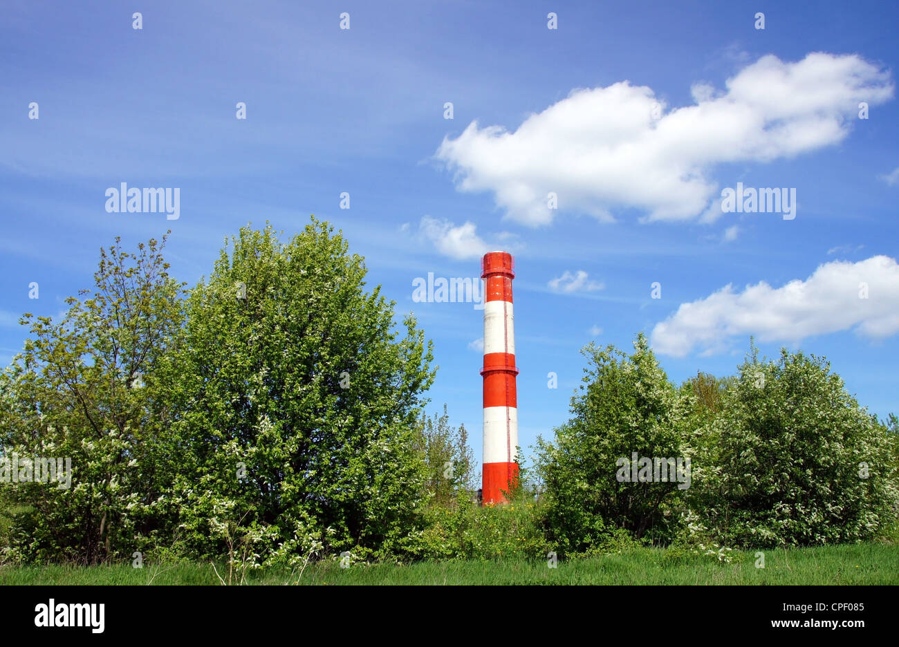 Pipe tree hi-res stock photography and images - Alamy