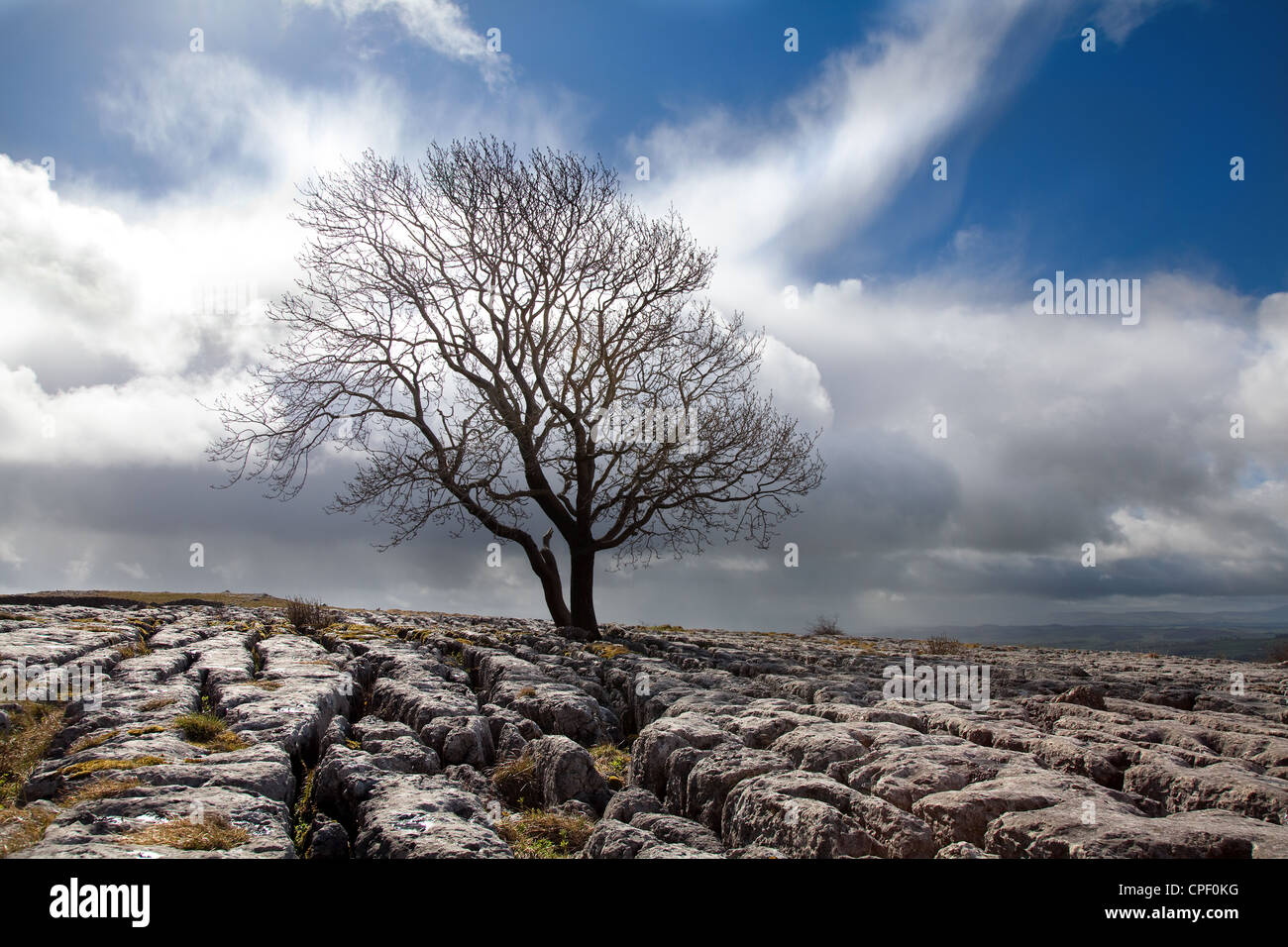 Mallam Pavement Limestone pavement rock formations above Malham Cove ...