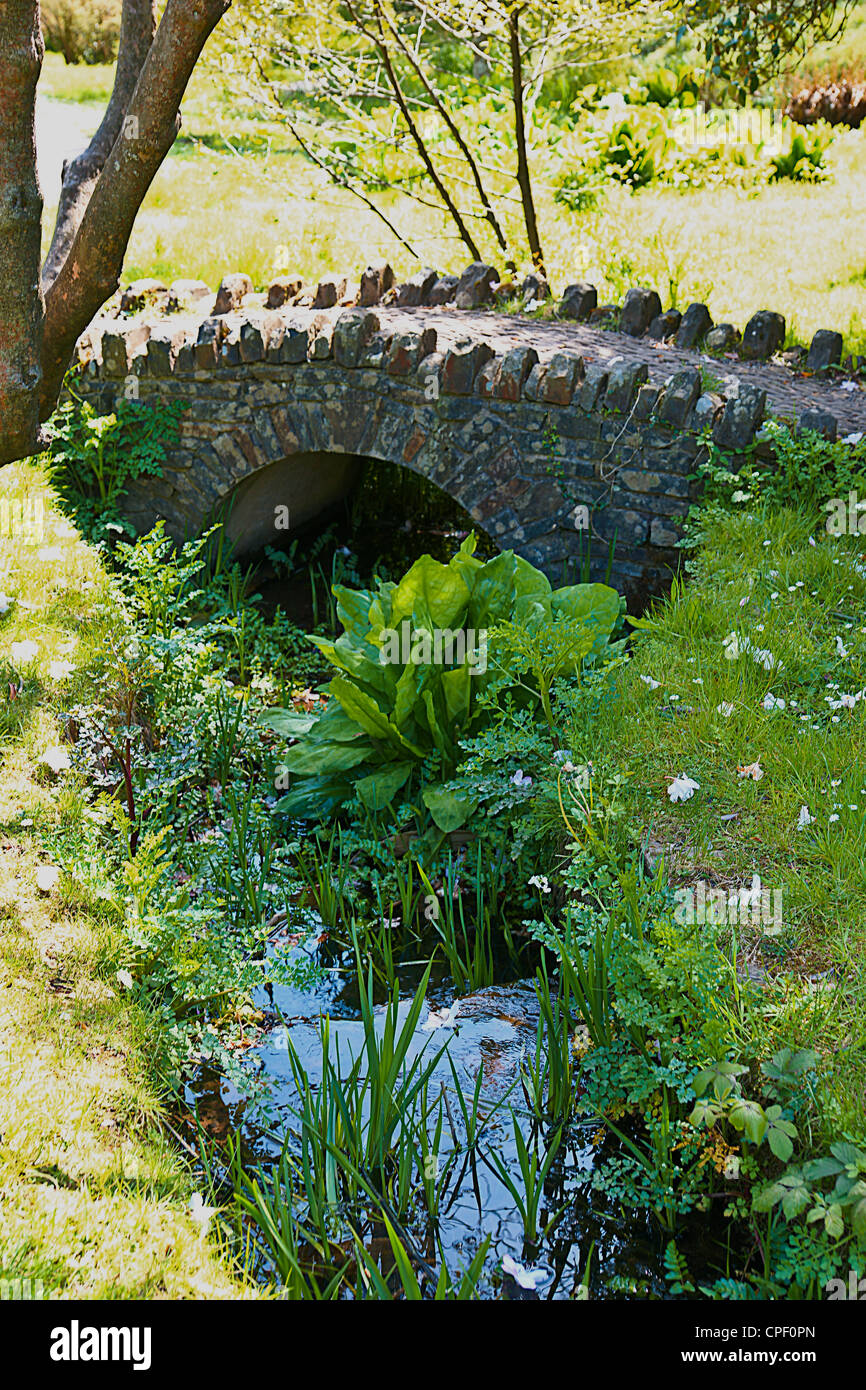 bridge over a small river with tree and plants around Stock Photo - Alamy