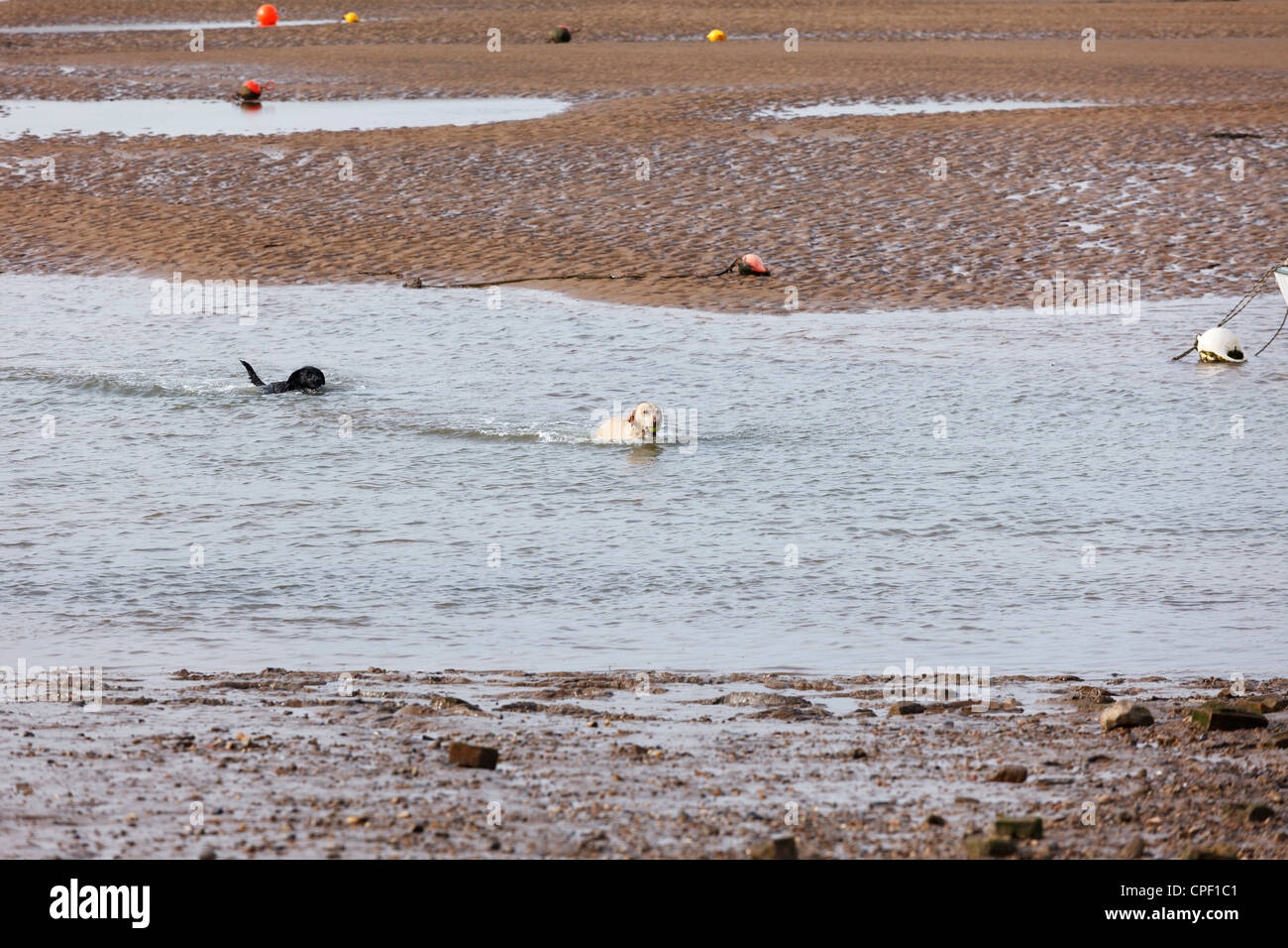 The peaceful out of season "salt marsh" inlets on the "North Norfolk ...