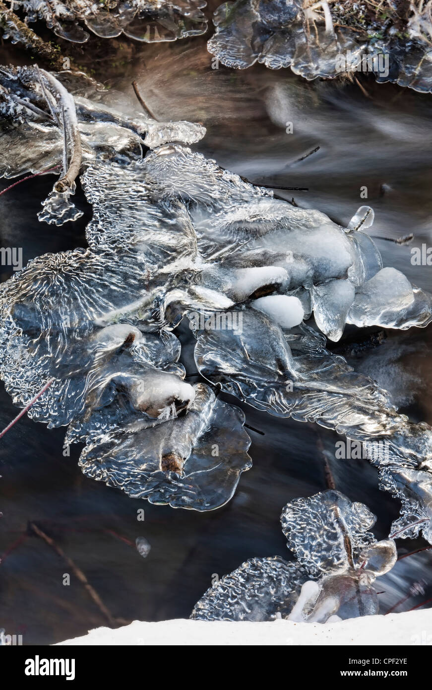 Freeze intricate natural hi-res stock photography and images - Alamy