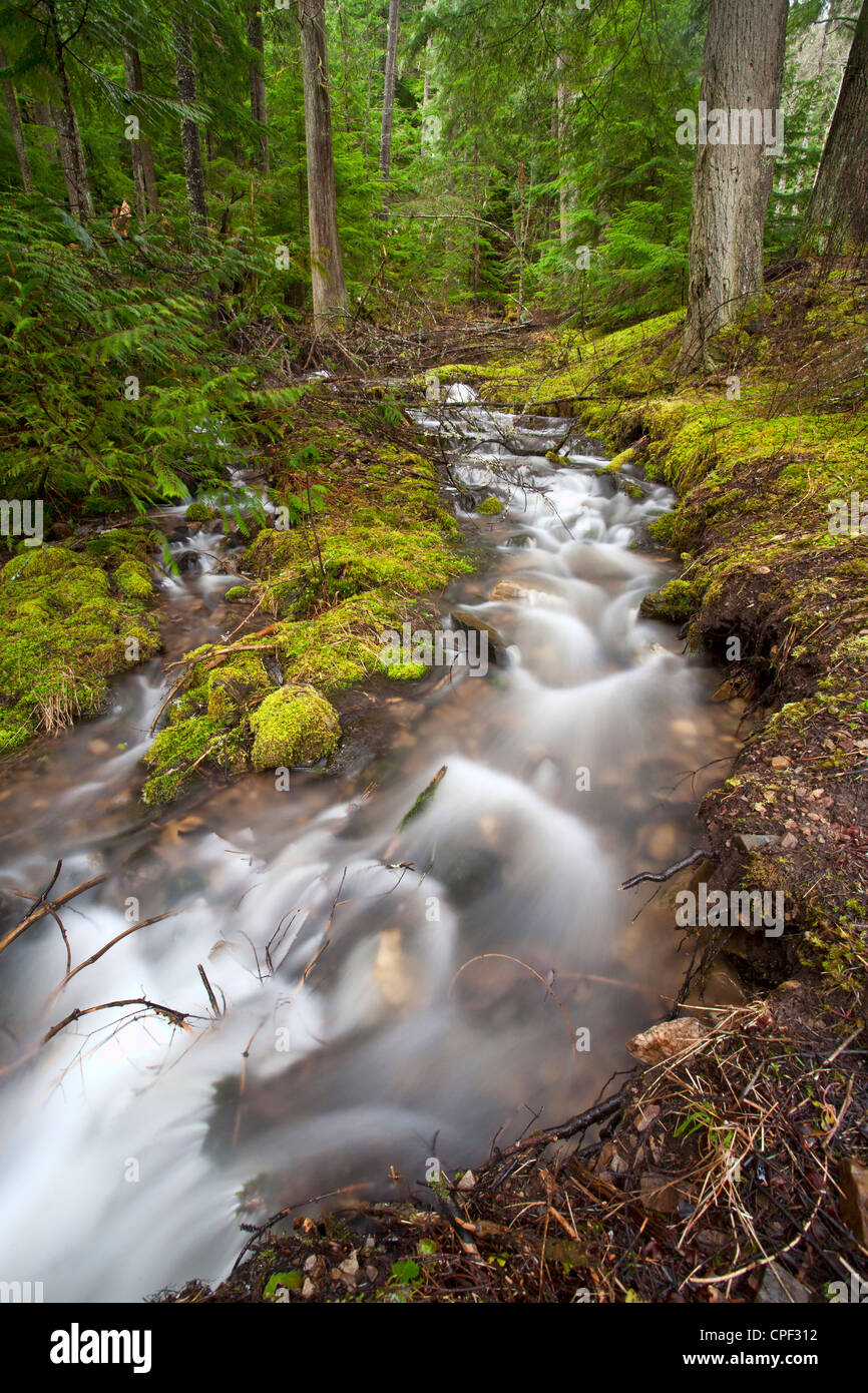 Swift flow hi-res stock photography and images - Alamy
