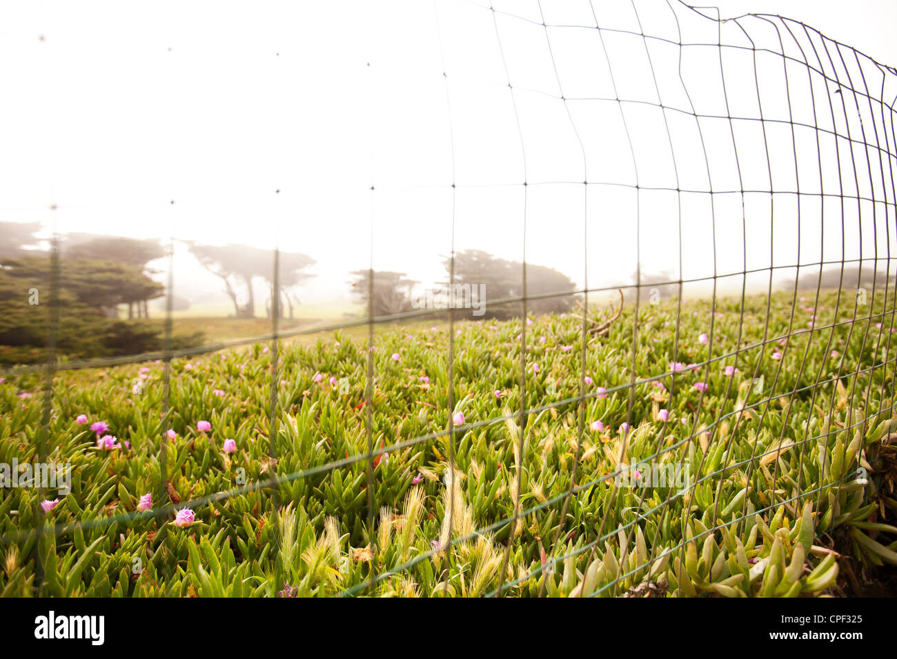 Protected land in California Stock Photo - Alamy