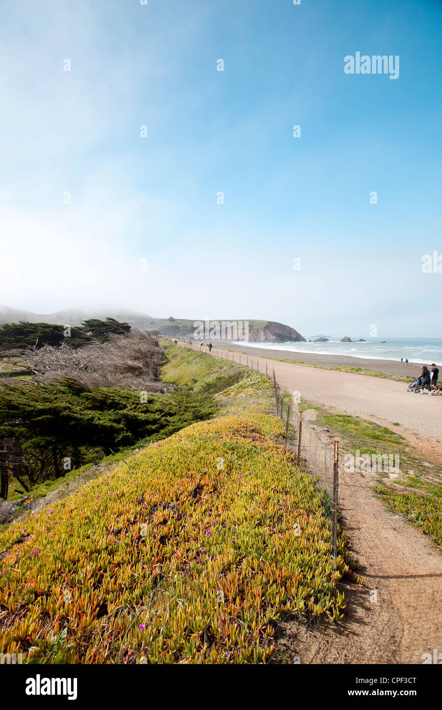 Walking path at beach Stock Photo - Alamy