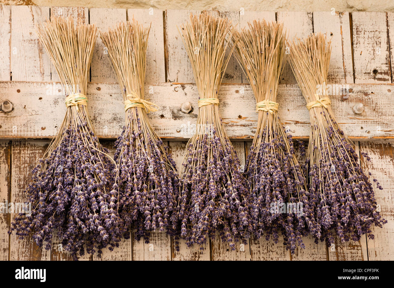 Hanging Lavender To Dry Stock Photos & Hanging Lavender To Dry Stock ...
