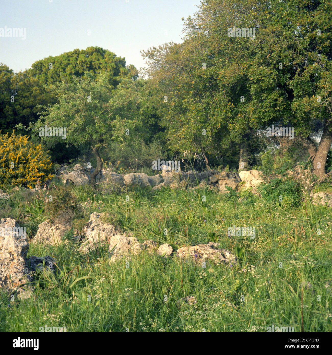 Typical degraded Karst limestone scenery of central Crete Stock Photo ...