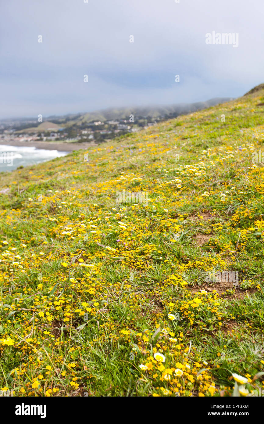 Hillside sea ocean hi-res stock photography and images - Alamy