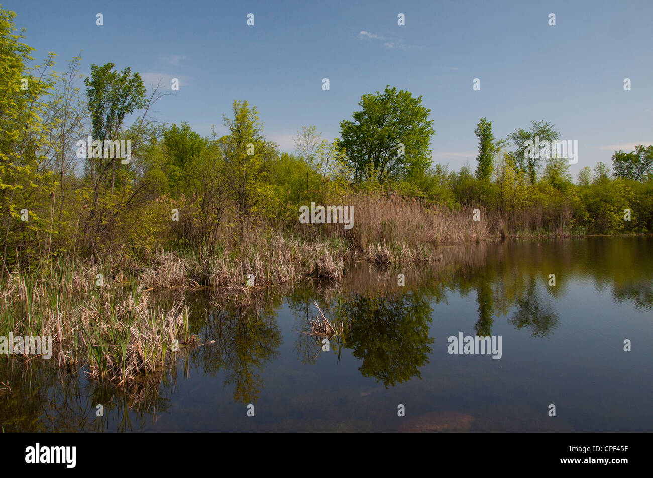 Ile bizard hi-res stock photography and images - Alamy
