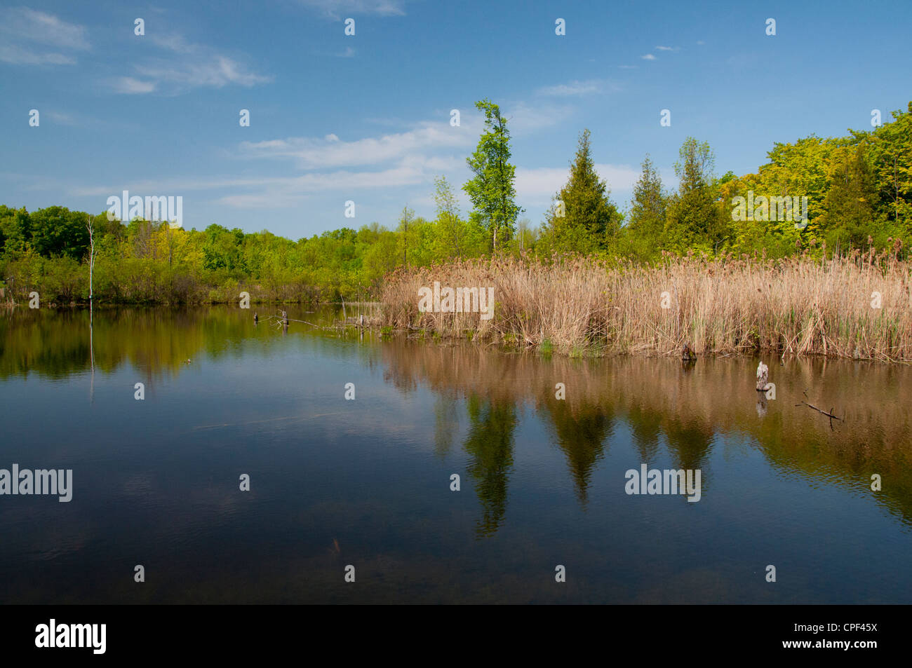 Ile bizard hi-res stock photography and images - Alamy