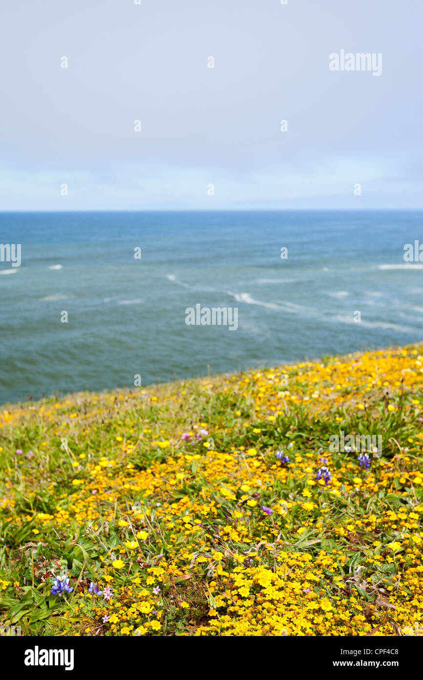 Hillside sea ocean hi-res stock photography and images - Alamy