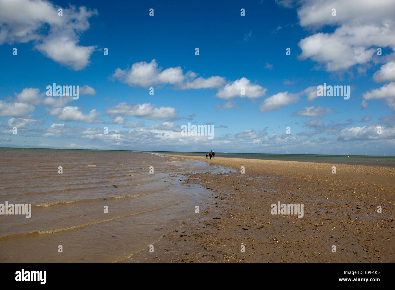 Shingle beach family hi-res stock photography and images - Alamy