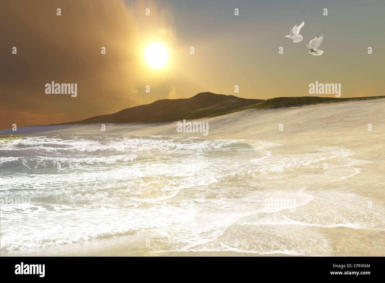 Two doves image hi-res stock photography and images - Alamy