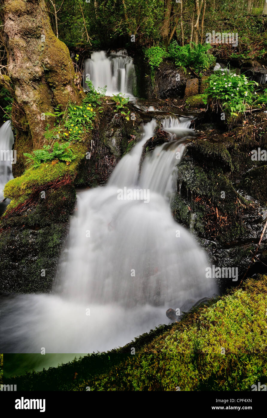 Force Falls waterfall in the Rusland Valley south of Grizedale Forest ...