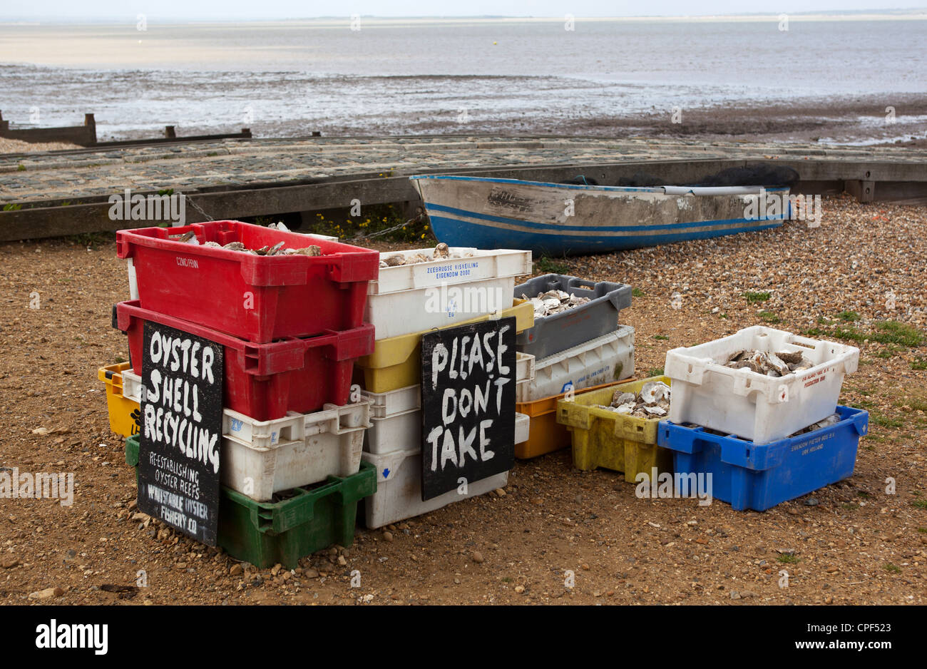 Oyster Shell Recycling Stock Photo - Alamy
