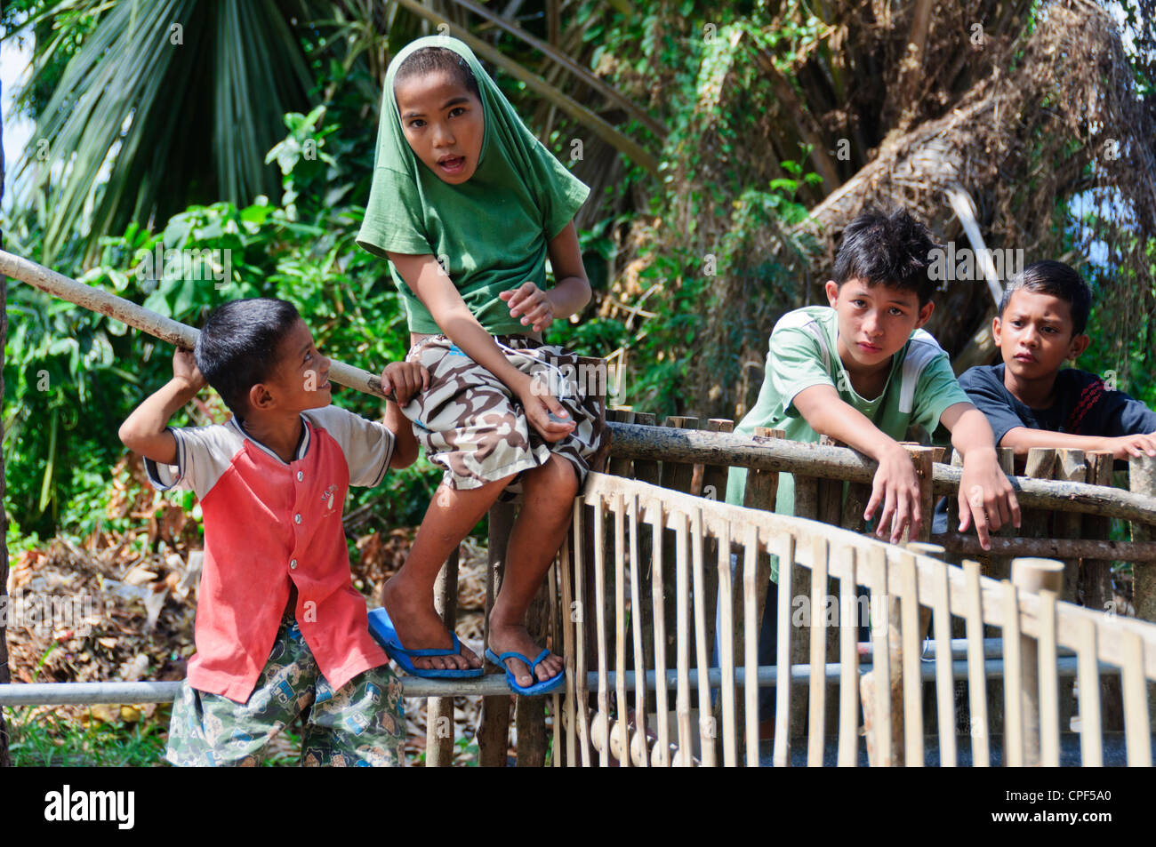 4 Asian Filipino Boys standing leaning against a bamboo fence in the ...