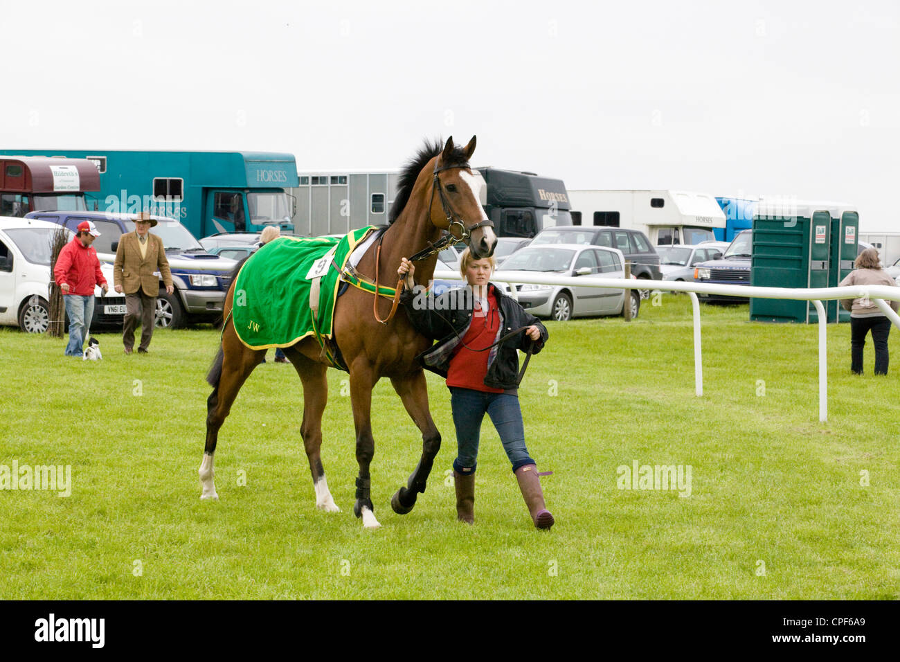 Race Horses in the collecting ring before a steeplechase in England ...