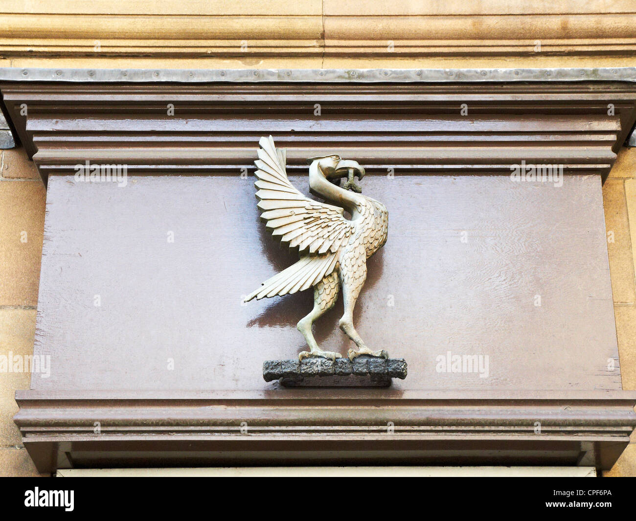Liver bird hi-res stock photography and images - Alamy