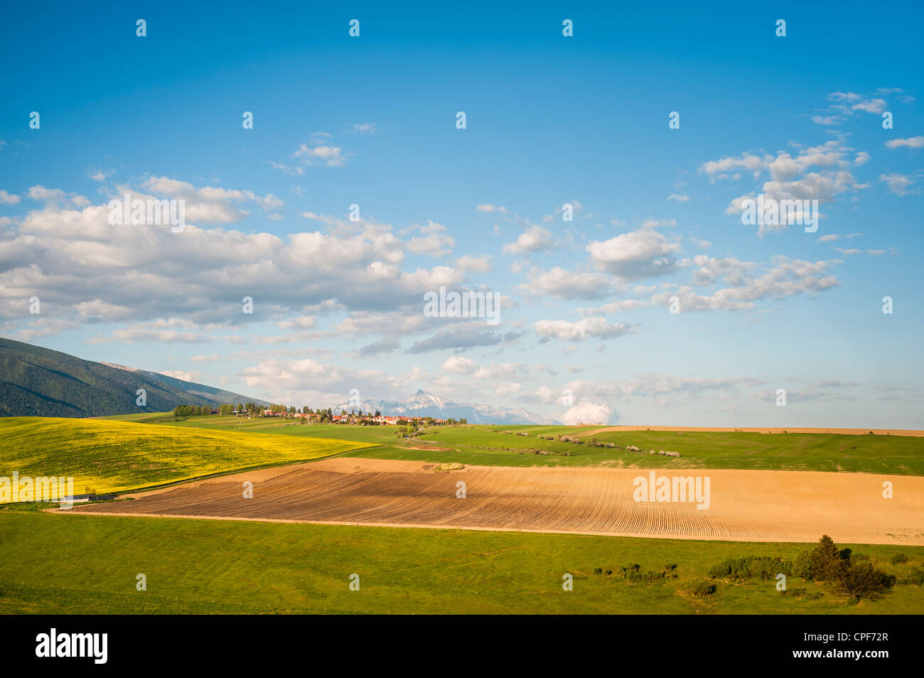Fields spring blue sky hi-res stock photography and images - Alamy