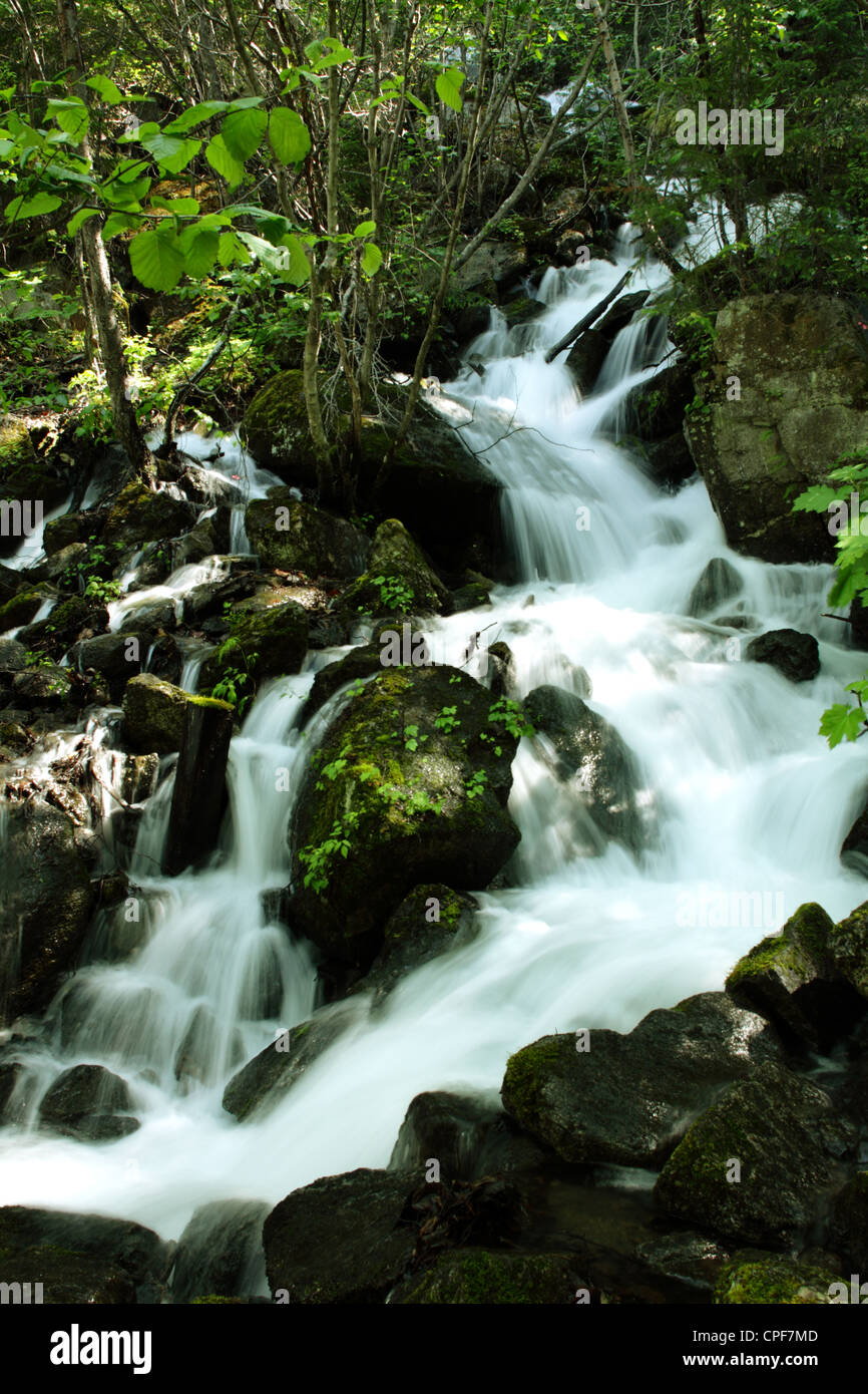 Dewey Lake Trail Waterfall Alaska Stock Photo - Alamy