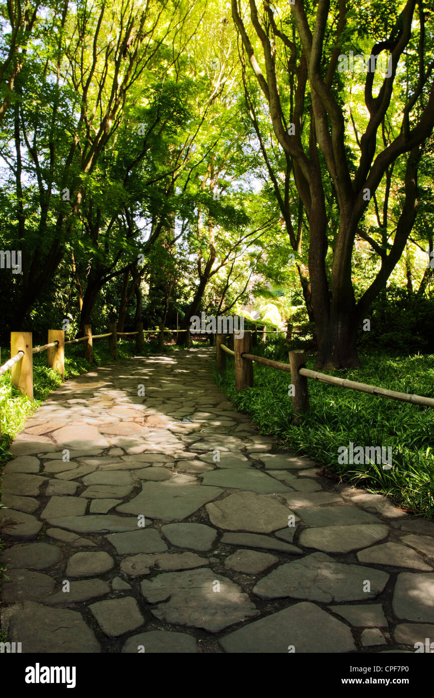 Golden Gate Park Path Stock Photo - Alamy